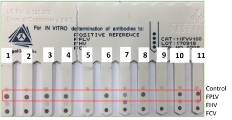 VacciCheck for Disease Detection - Biogal