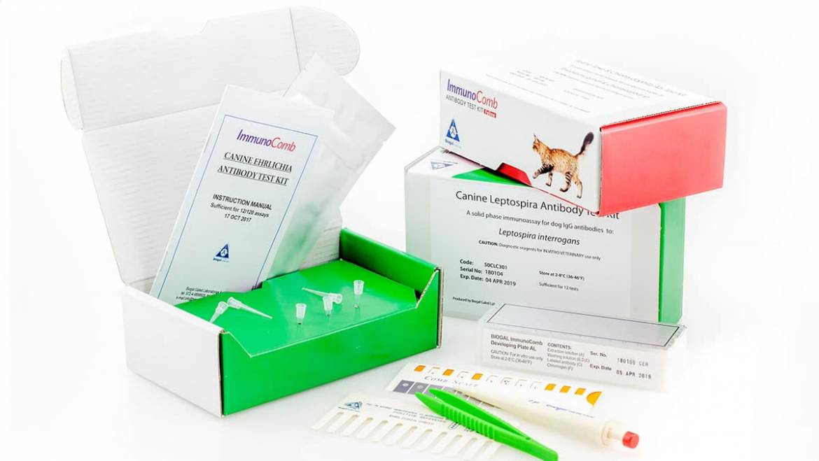 ImmunoComb - Biogal