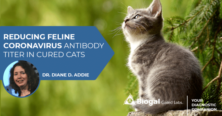 What You Need to Know About Feline Coronavirus (FCoV/FIP)