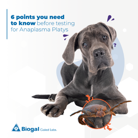 Biogal - Veterinary Diagnosis