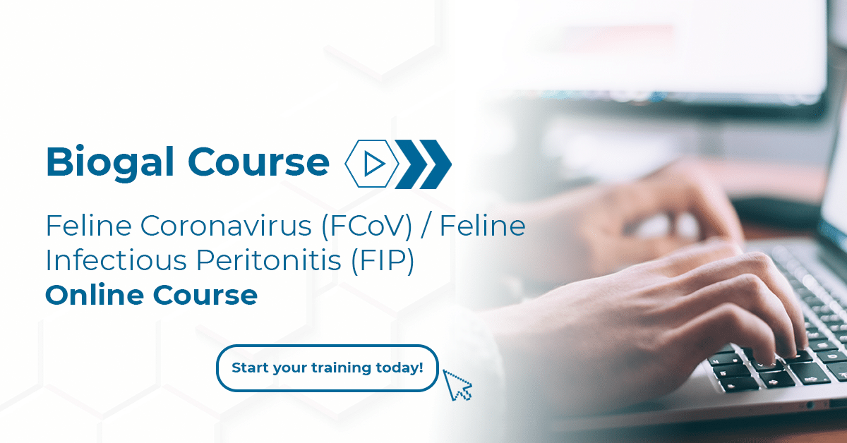 Feline Coronavirus (FCoV) | Feline Infectious Peritonitis (FIP) online ...