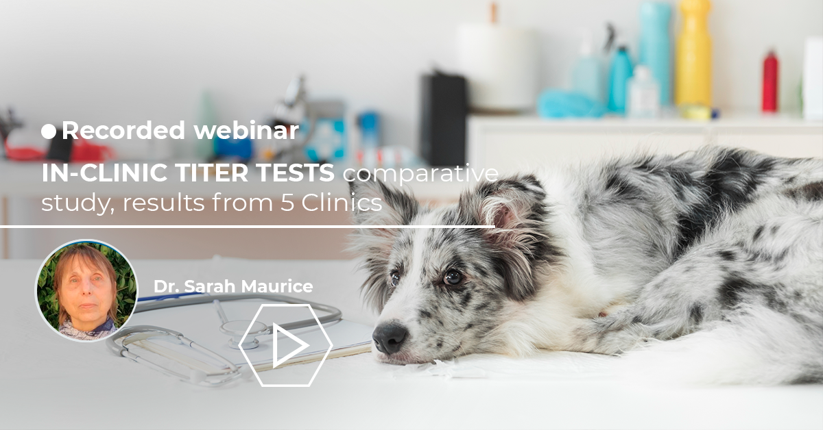 In-Clinic canine titer test | Biogal Academy