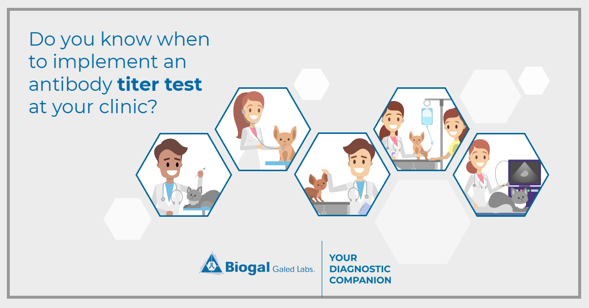 A Road Map to Ensure Your Pet’s Protection | Biogal Labs