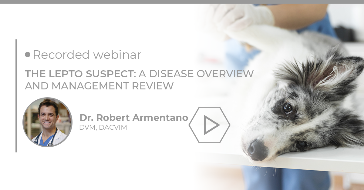Leptospirosis suspect - Live Webinar | Biogal Academy