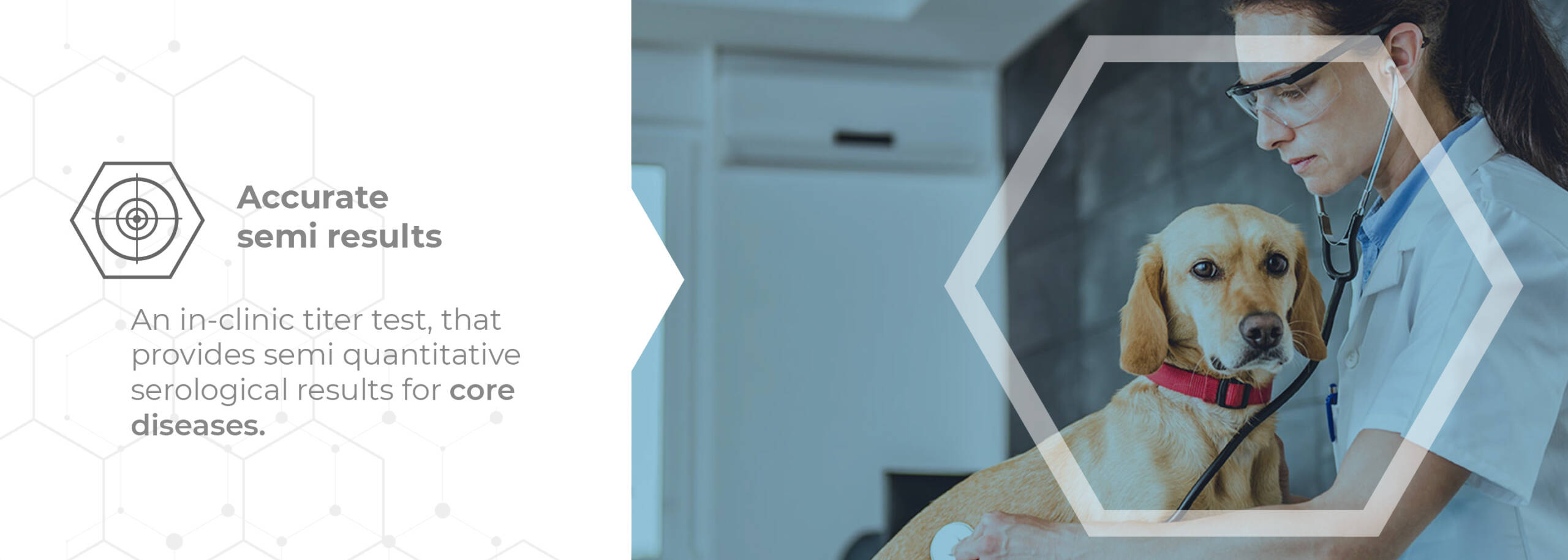 Vaccicheck Titer testing - Biogal