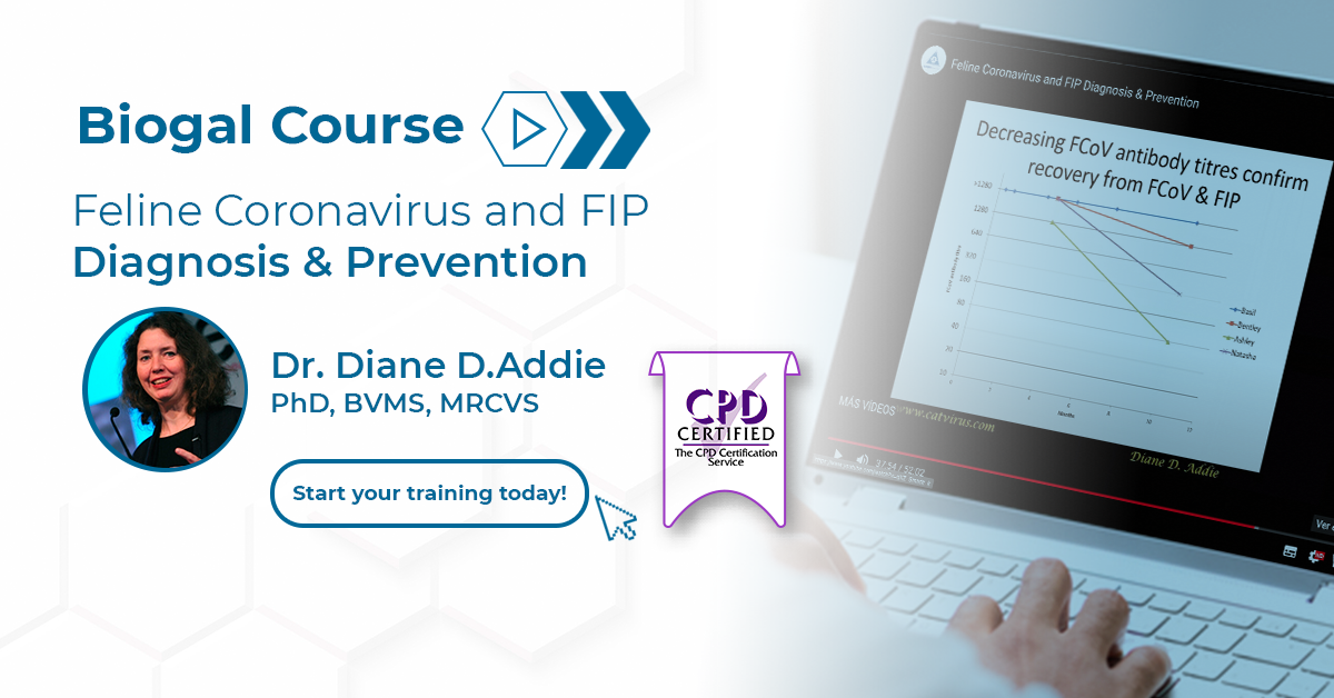Biogal Course | Feline Coronavirus and FIP Diagnosis & Prevention
