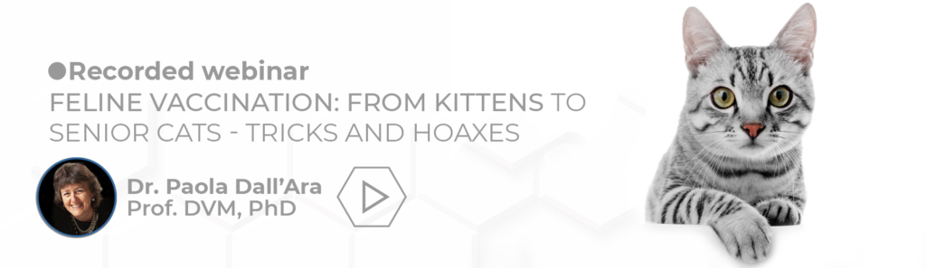 Feline Vaccination: From Kittens to Senior Cats | Biogal Academy