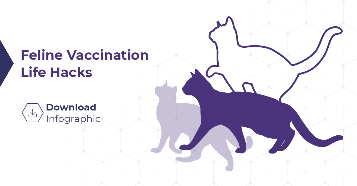 Feline Vaccination Life Hacks | Biogal Labs