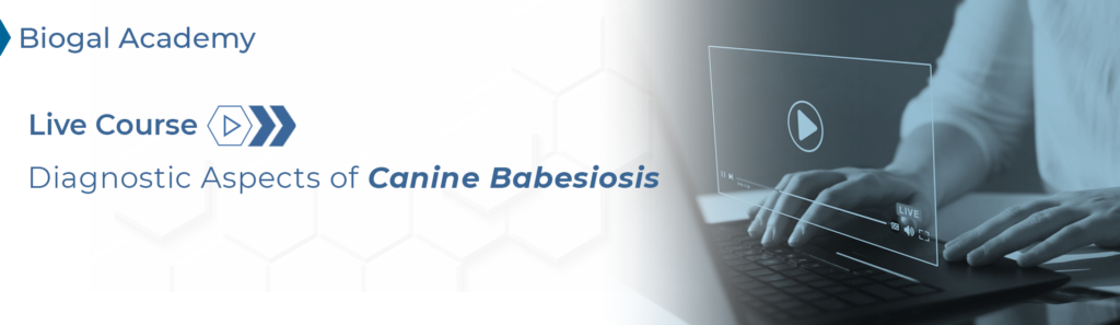 Biogal Course | Diagnostic Aspects of Canine Babesiosis