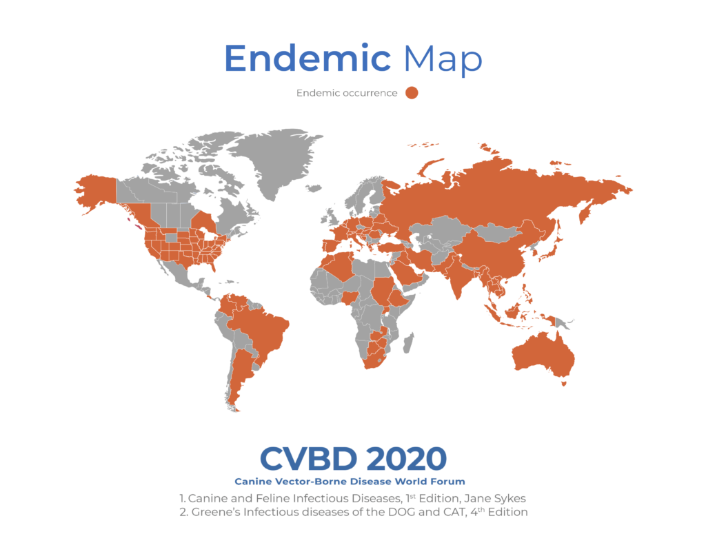 Babesia spp. Molecular Diagnostic Kit | Biogal Labs