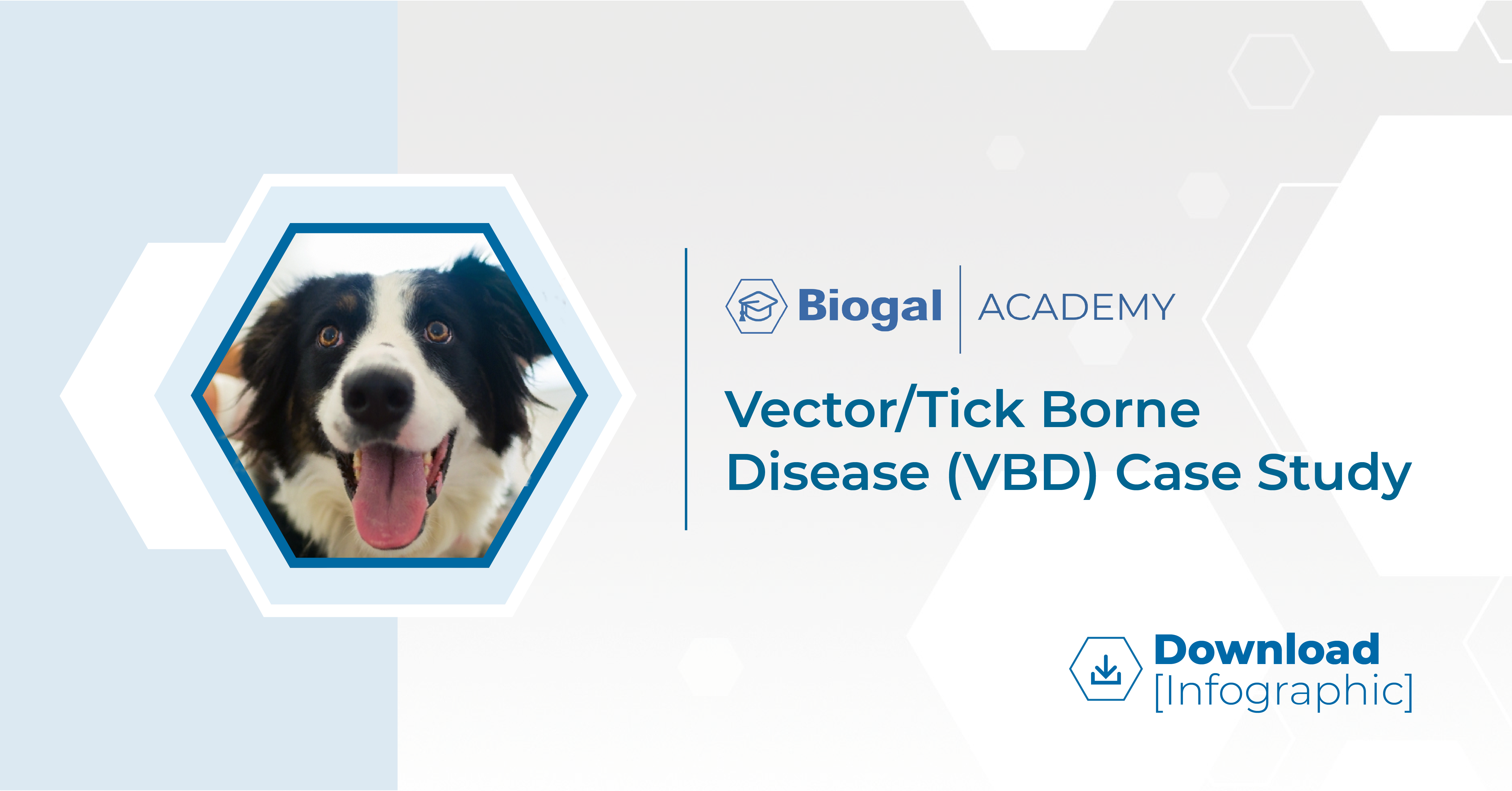 Vector / Tick Borne Disease (VBD) Case Study | Biogal Academy