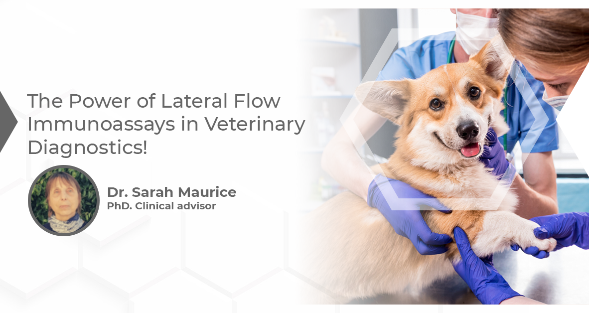 Lateral Flow Immunoassays in Veterinary Diagnostics | Biogal Labs