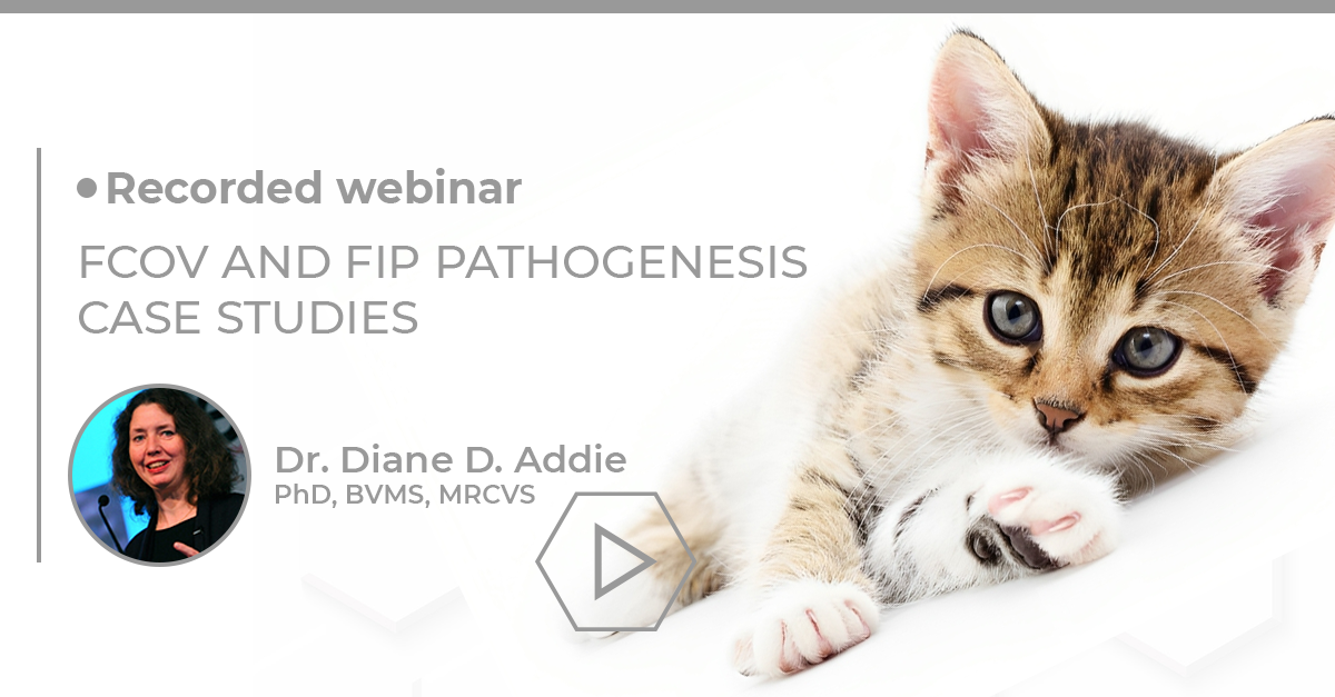 FCoV and FIP Pathogenesis Case Studies | Biogal Academy