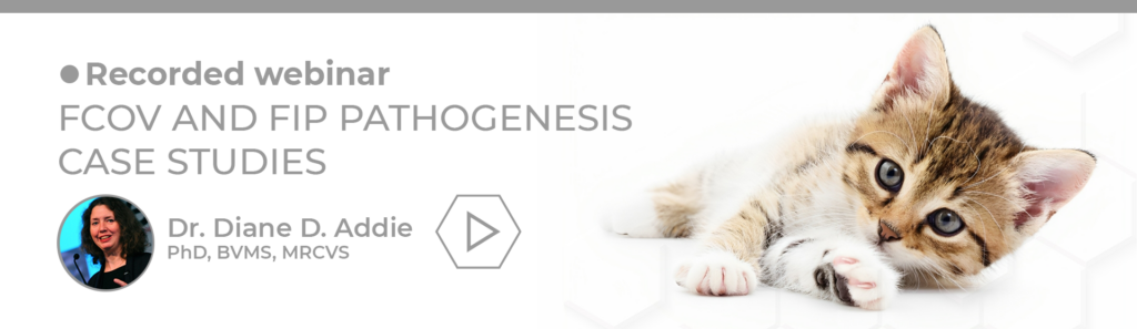 FCoV and FIP Pathogenesis Case Studies | Biogal Academy