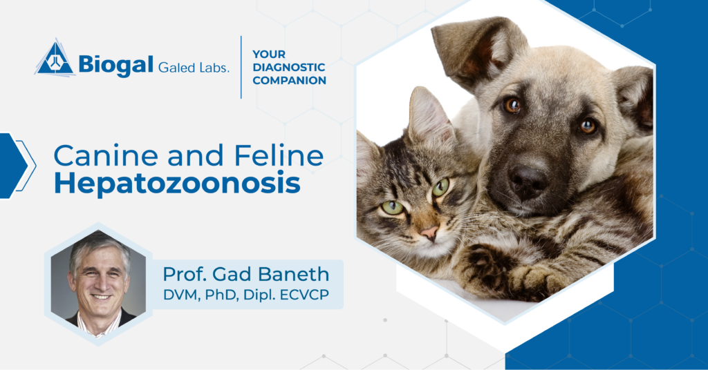 Canine and Feline Hepatozoonosis | Biogal Labs