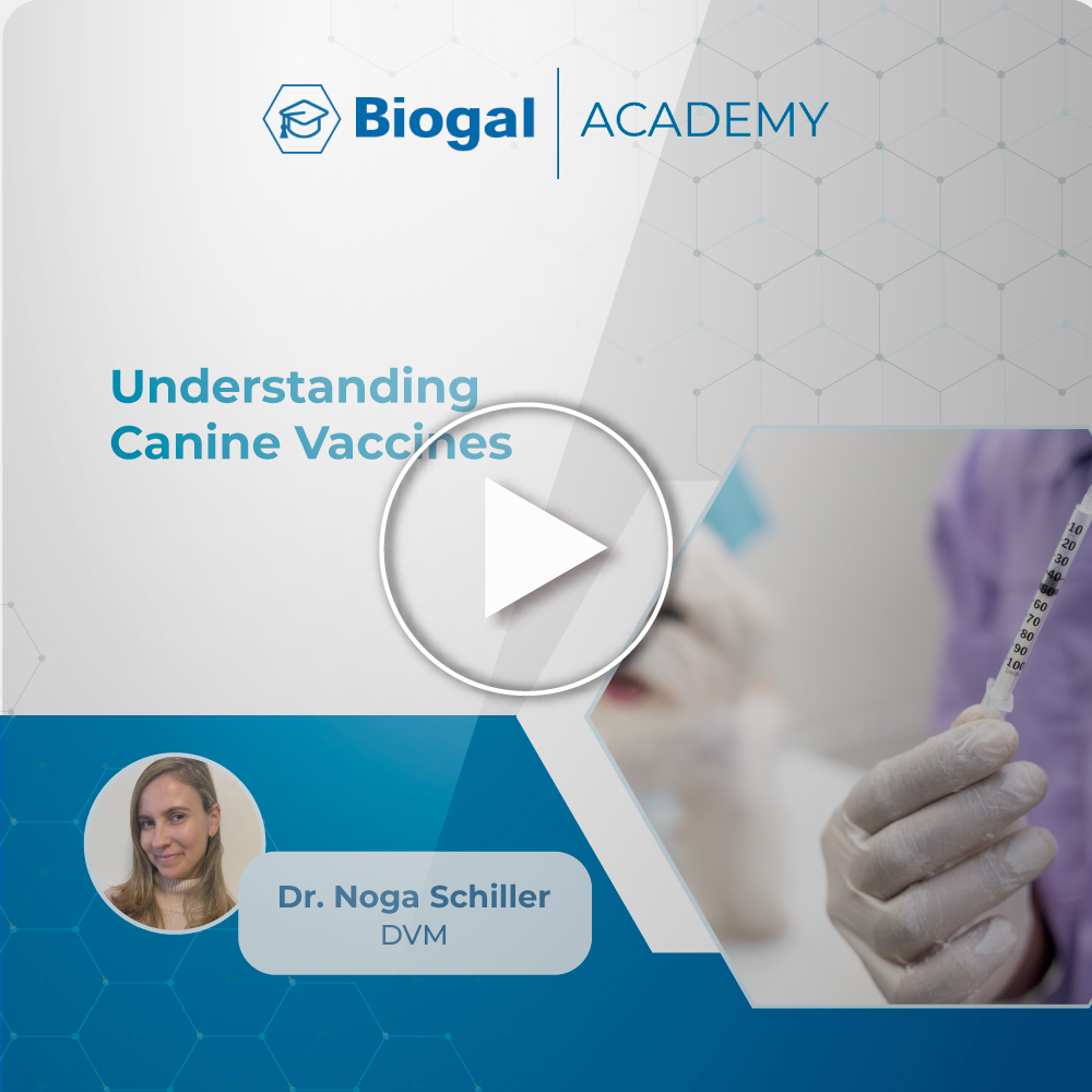 Dog Vaccines: Starting from the Basics (Video) - Biogal